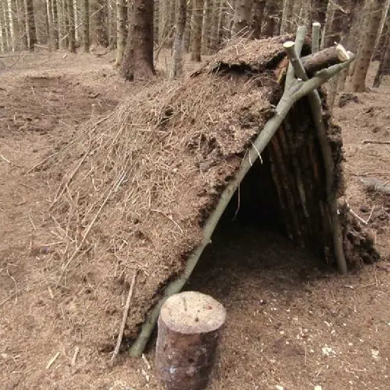 How to Build a Debris Shelter, Quick! — Better Bushcraft